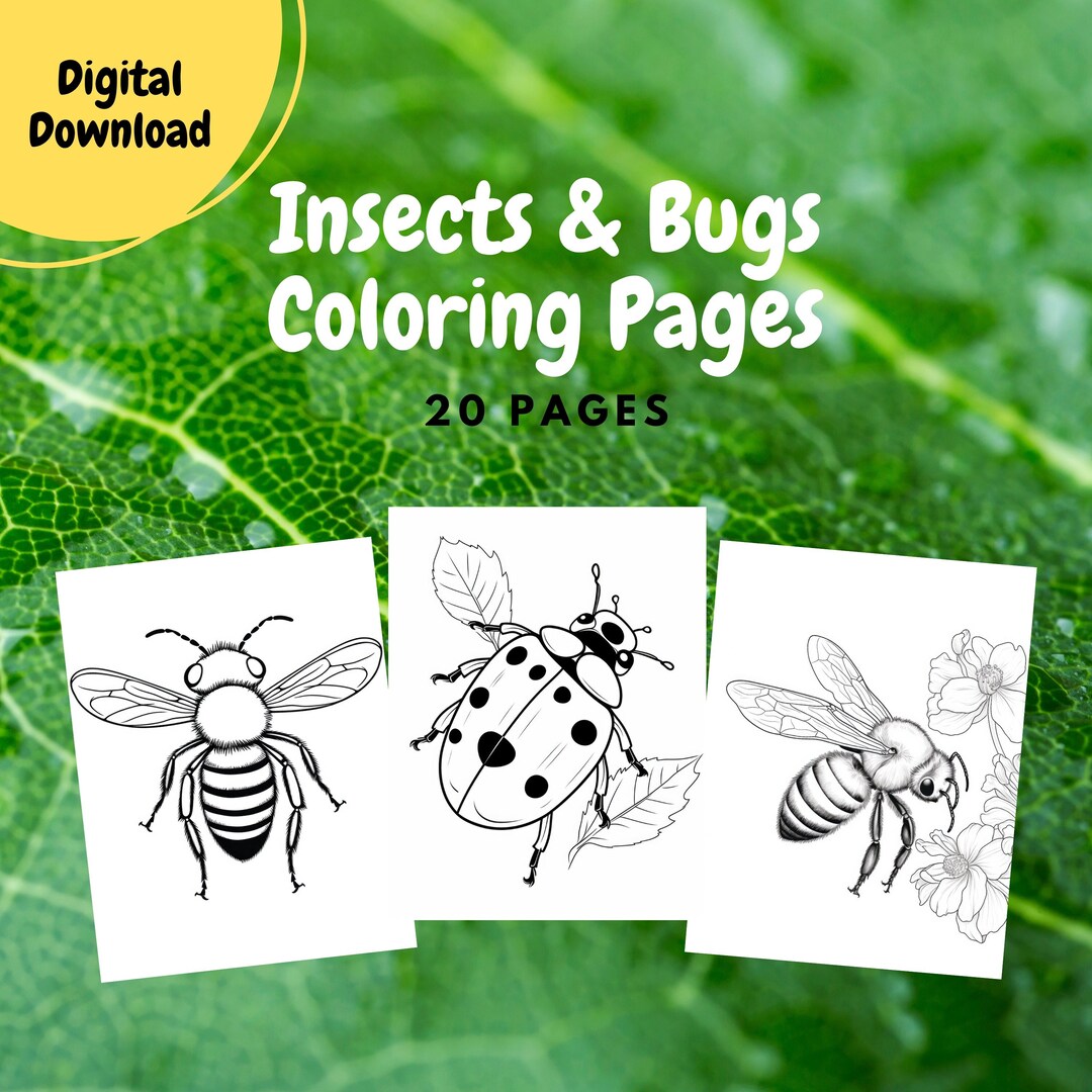 Insects and Bugs Coloring Pages for Kids and Toddlers, 20 Coloring ...