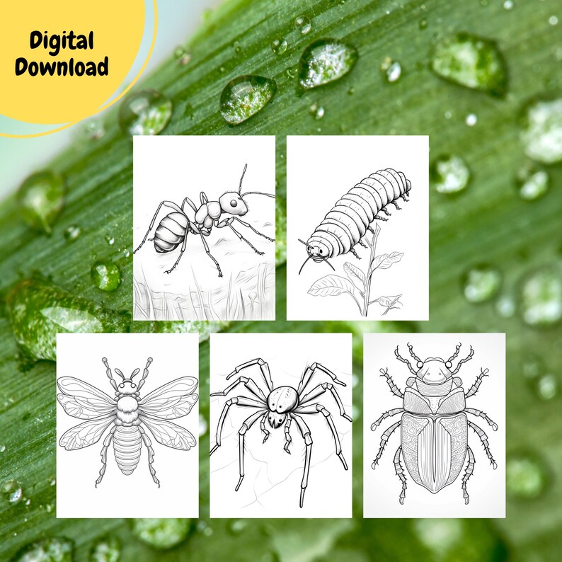 Insects and Bugs Coloring Pages for Kids and Toddlers, 20 Coloring ...