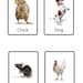 40 Animals Cards | Montessori Flash Card | Real Pictures Cards ...