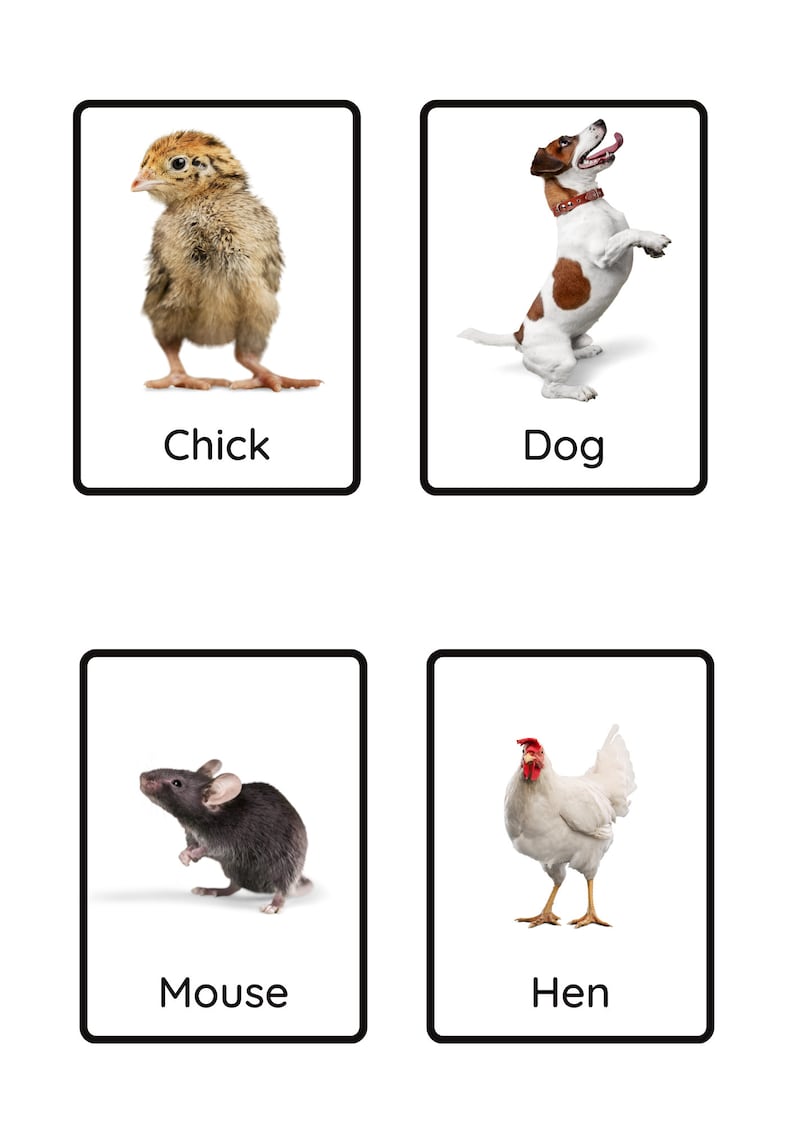 40 Animal Flash Cards | Montessori Preschool Printable (digital ...