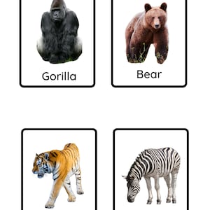 40 Animals Cards | Montessori Flash Card | Real Pictures Cards ...