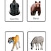 40 Animals Cards | Montessori Flash Card | Real Pictures Cards ...