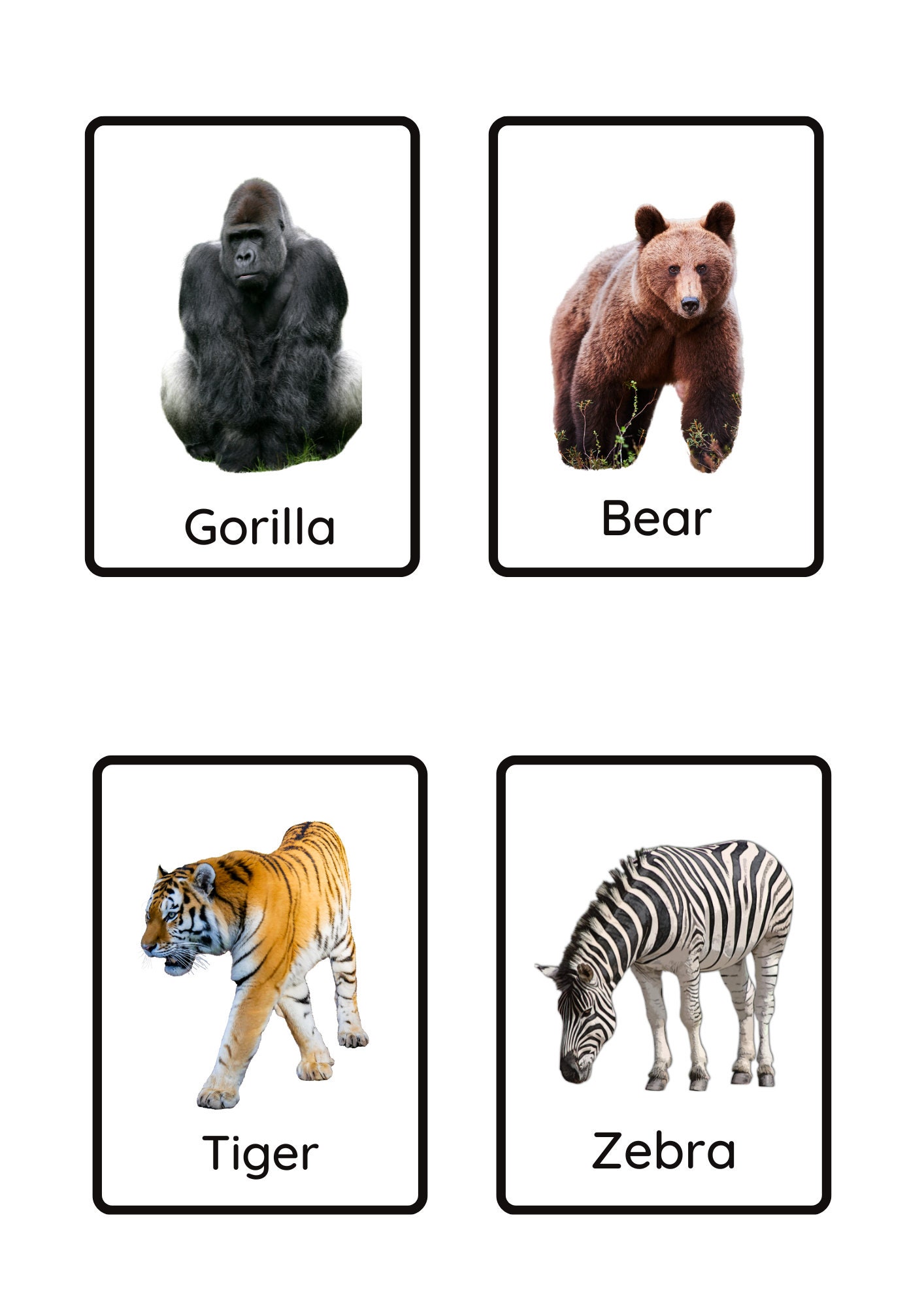 40 Animals Cards | Montessori Flash Card | Real Pictures Cards ...