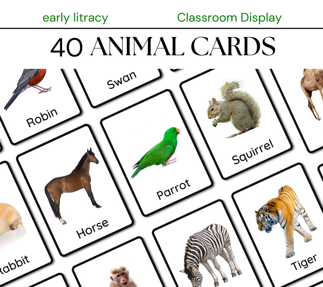 40 Animals Cards | Montessori Flash Card | Real Pictures Cards ...