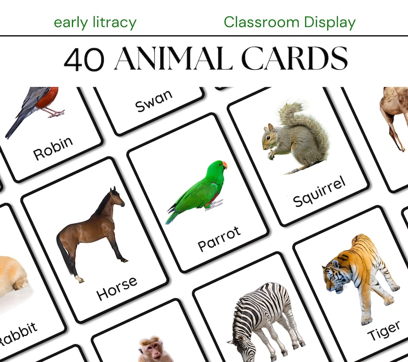40 Animals Cards | Montessori Flash Card | Real Pictures Cards ...