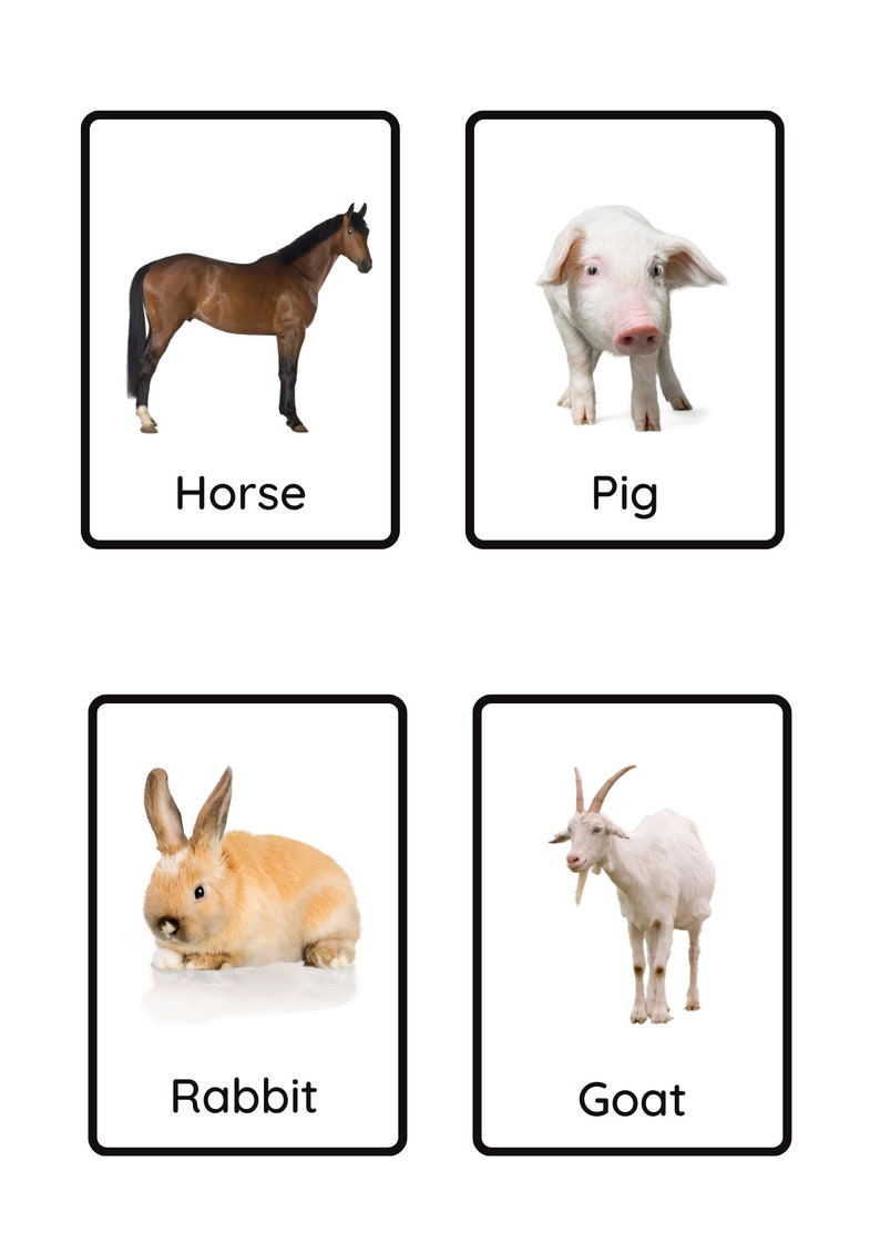 40 Animals Cards | Montessori Flash Card | Real Pictures Cards ...