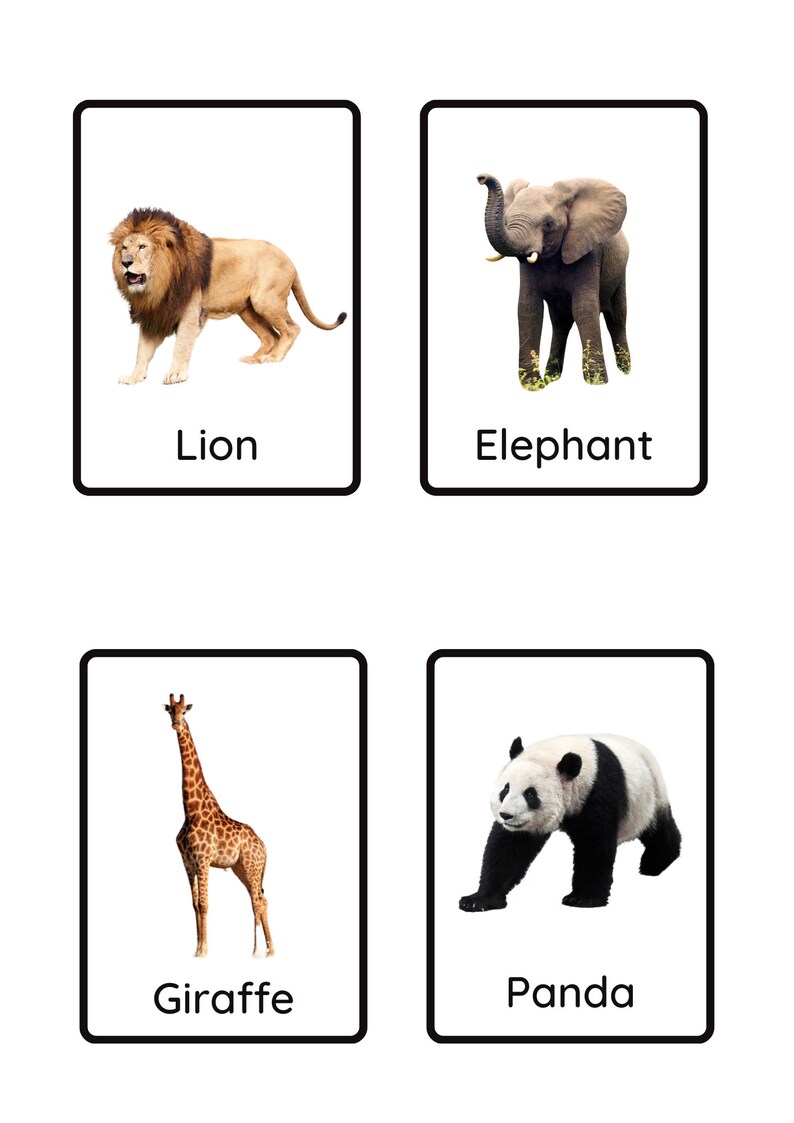 40 Animals Cards Montessori Flash Card Real Pictures Cards Educational ...