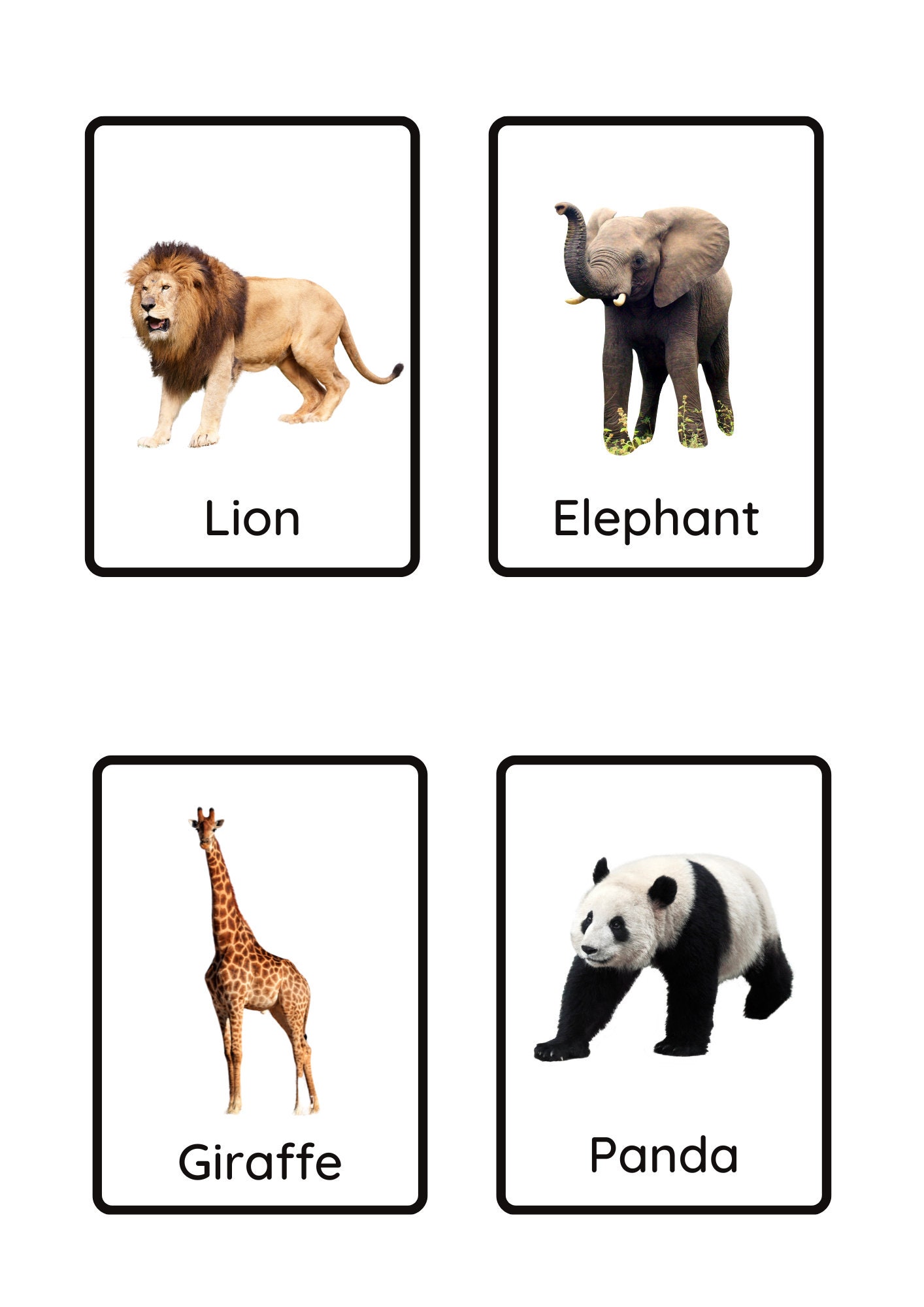 40 Animals Cards Montessori Flash Card Real Pictures Cards Educational ...