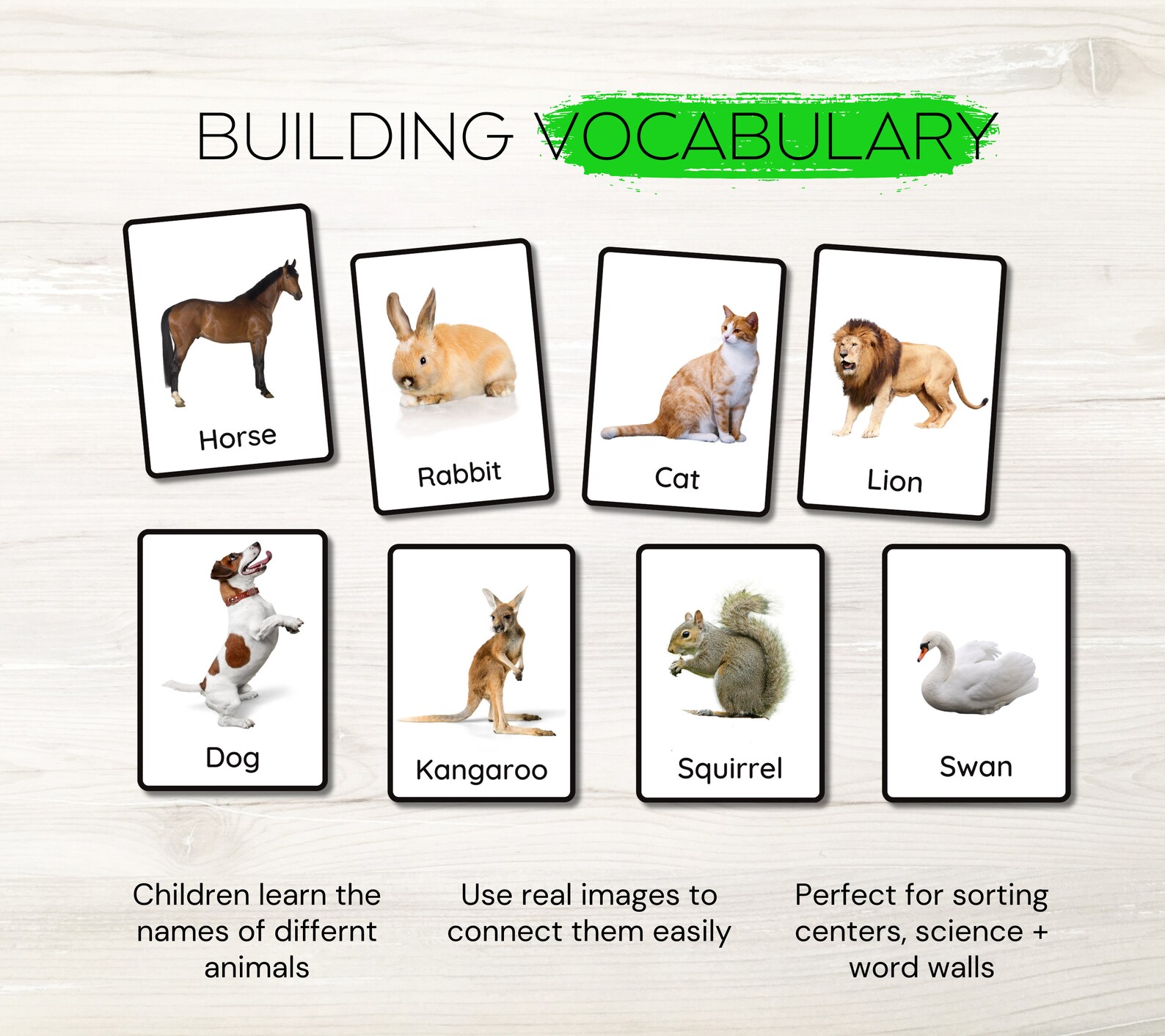 40 Animals Cards | Montessori Flash Card | Real Pictures Cards ...