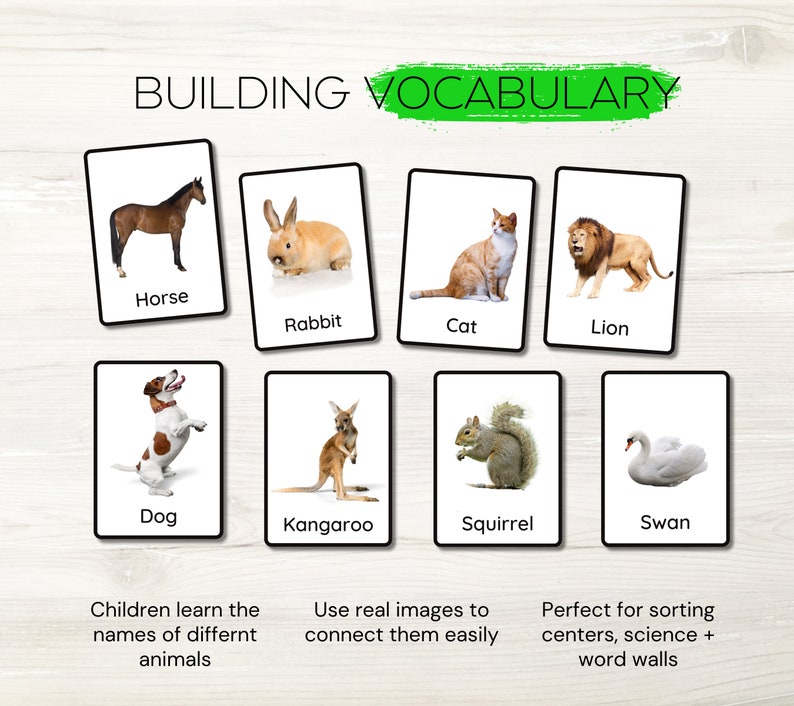 40 Animals Cards | Montessori Flash Card | Real Pictures Cards ...