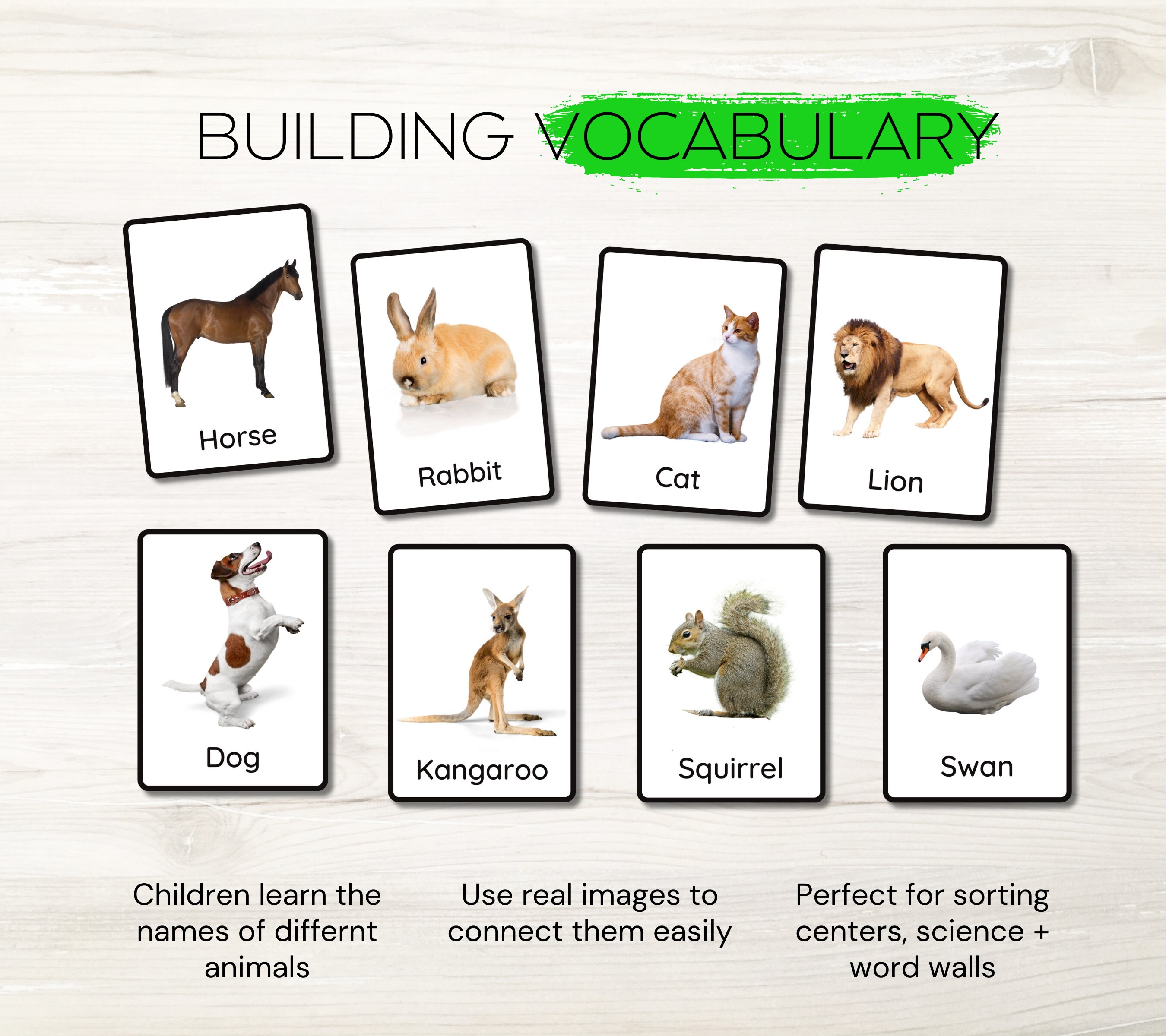 40 Animals Cards | Montessori Flash Card | Real Pictures Cards ...