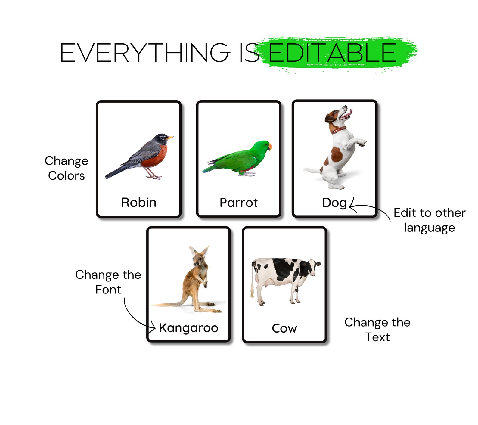 40 Animals Cards | Montessori Flash Card | Real Pictures Cards ...