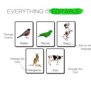 40 Animals Cards | Montessori Flash Card | Real Pictures Cards ...