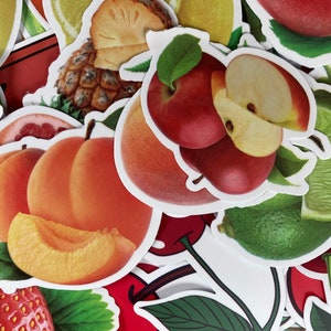 25 Summer Fruits Sticker Pack,lemons,strawberries, Watermelons,craft ...