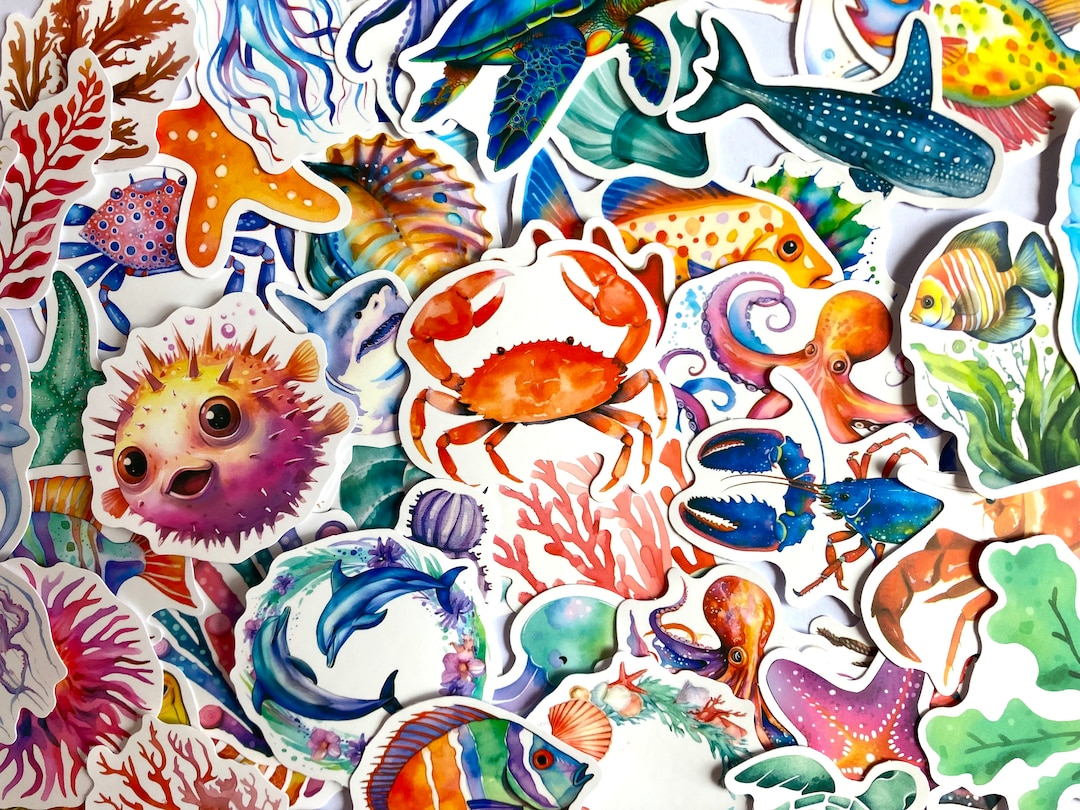 Marine Life Sticker Pack: 50 Sea Creature Stickers for Kids - Etsy