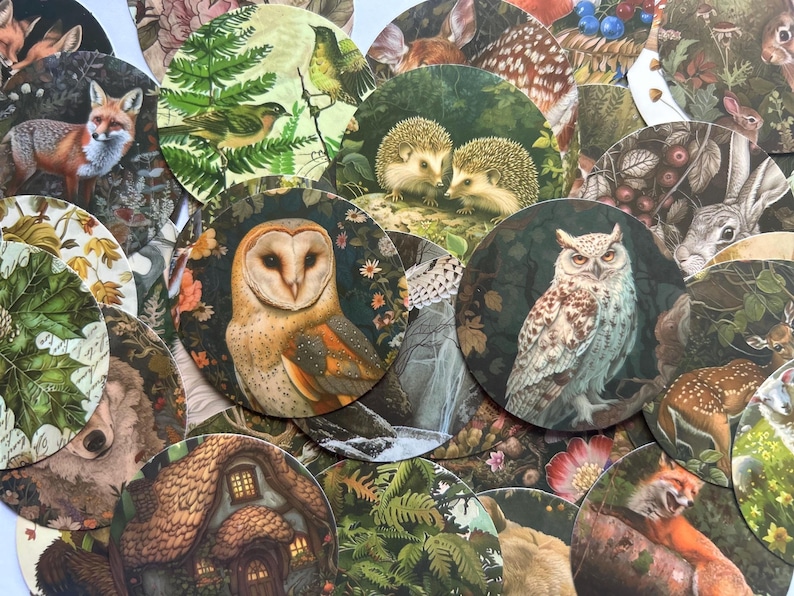 50 Forest Wildlife Animal Sticker Pack, Green Craft Stickers for ...