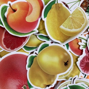 25 Summer Fruits Sticker Pack,lemons,strawberries, Watermelons,craft ...