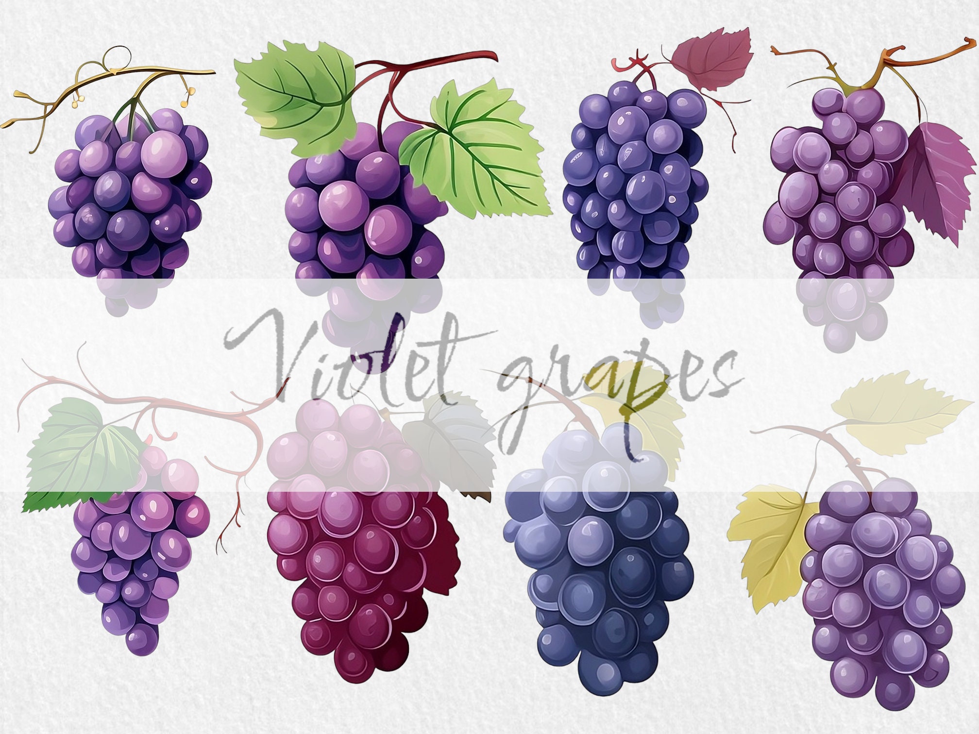 Watercolor Grape Clipart, Digital PNG, Wine Graps, Floral Clipart, Art ...