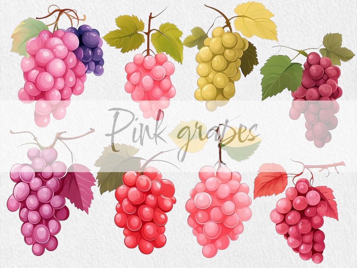 Watercolor Grape Clipart, Digital PNG, Wine Graps, Floral Clipart, Art ...