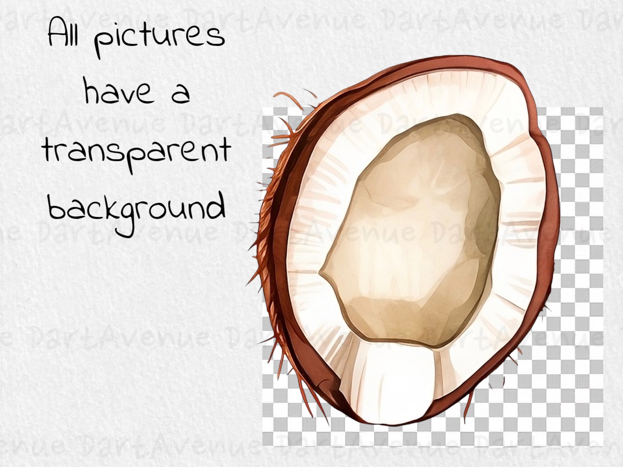 Coconut Watercolor Clipart Collection, Tropical Clipart, Palm Trees, 34 ...