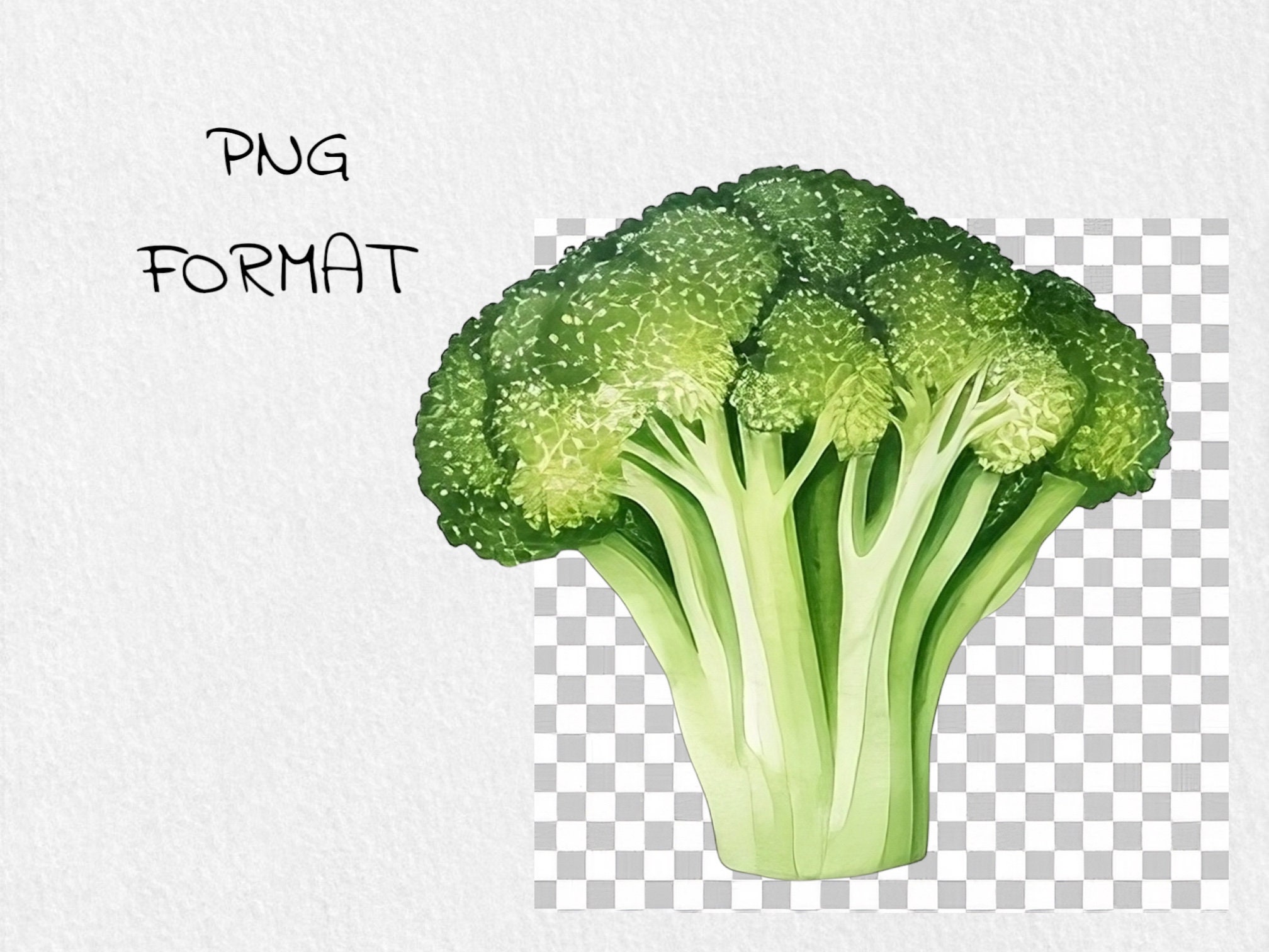 Fresh Food Clipart Healthy Food Vegetable Natural Food - Etsy