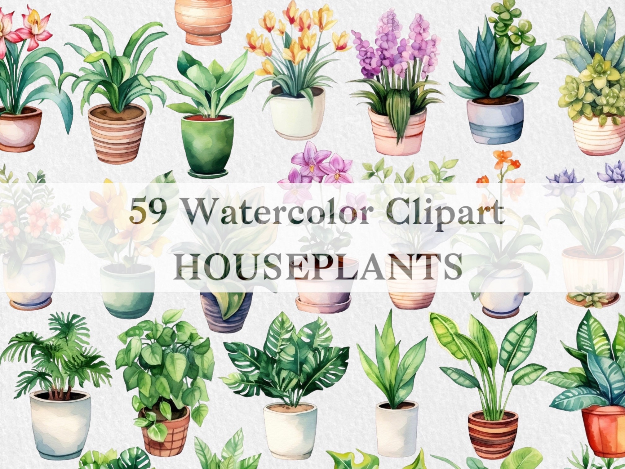 Watercolor Homeplants Clipart Potted Plants Clipart - Etsy