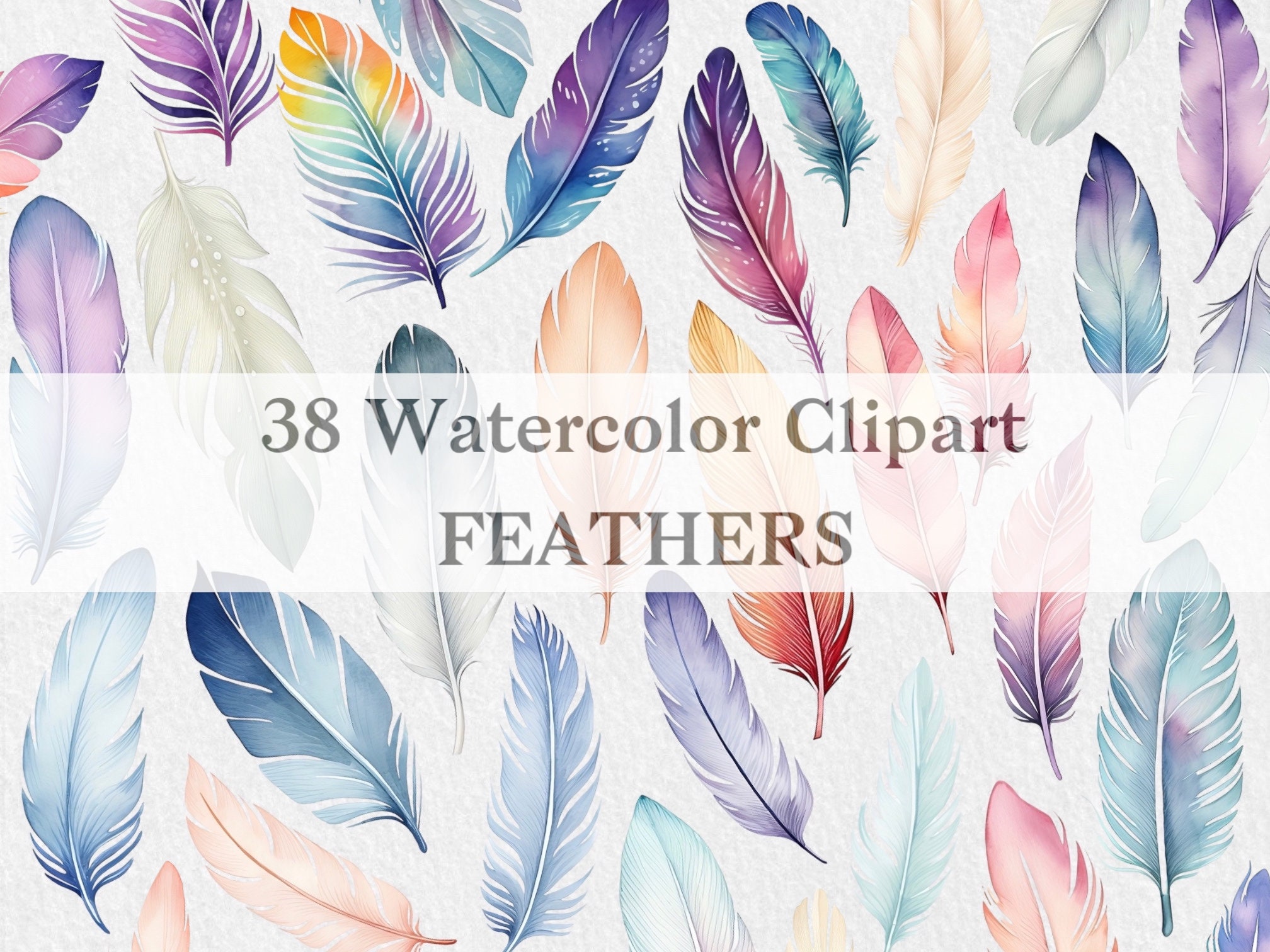 Watercolor Feathers Clipart Bundle, Hand Painted Feathers, PNG Format ...