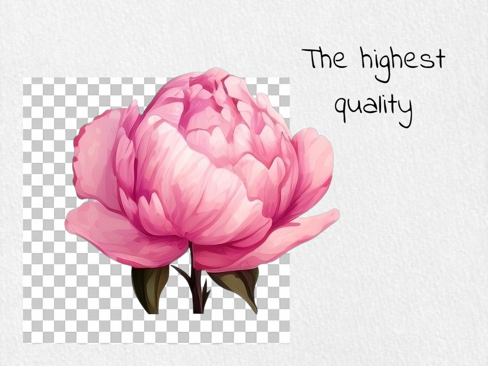 Watercolor Peonies Clipart, Romantic Wedding Floral Clipart, Spring ...