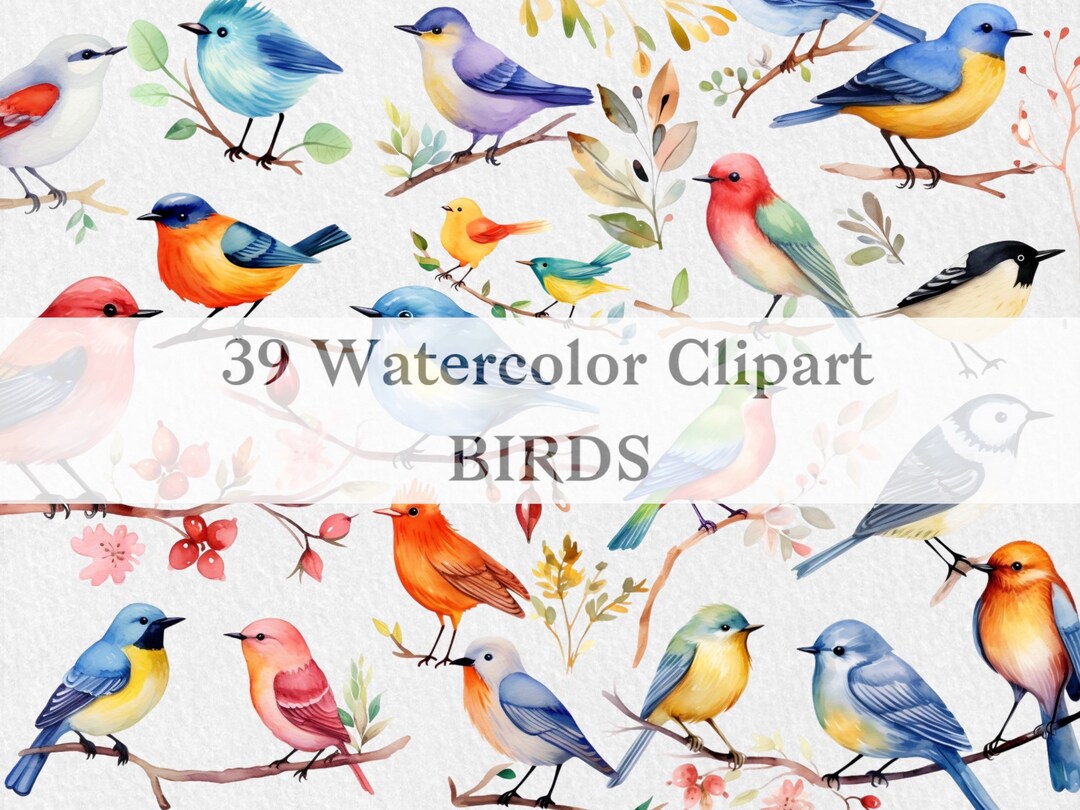 Watercolor Birds Clipart, Watercolor Art, Birds on Floral Branches ...