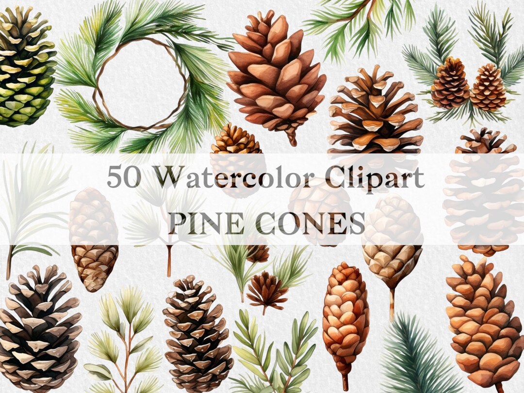 Watercolor Pine Cone Clipart Collection, Christmas Wreath Watercolor ...