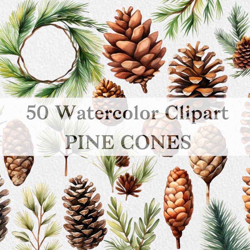 Pine Cone Clipart - Etsy