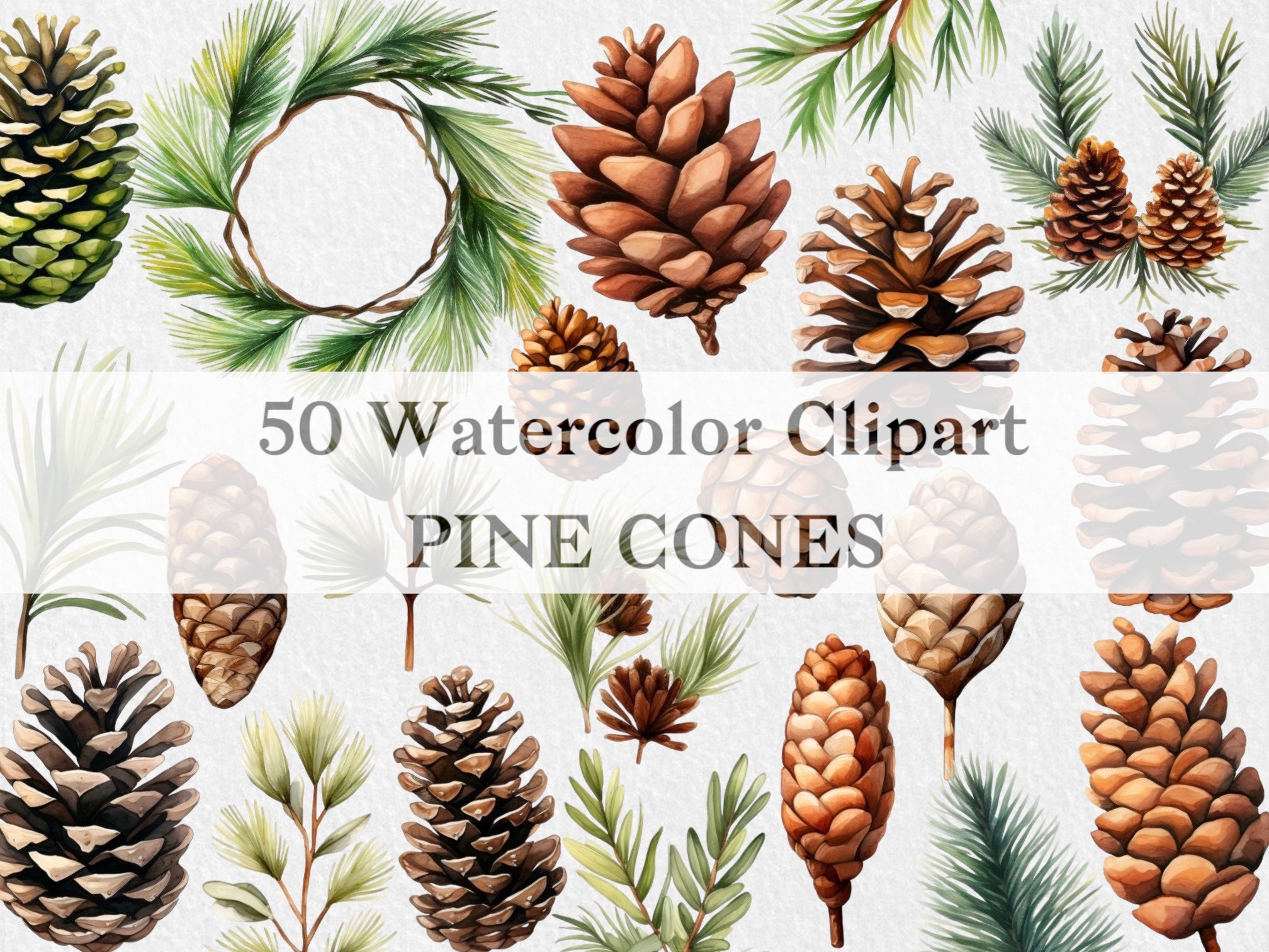 Watercolor Pine Cone Clipart Collection, Christmas Wreath Watercolor ...