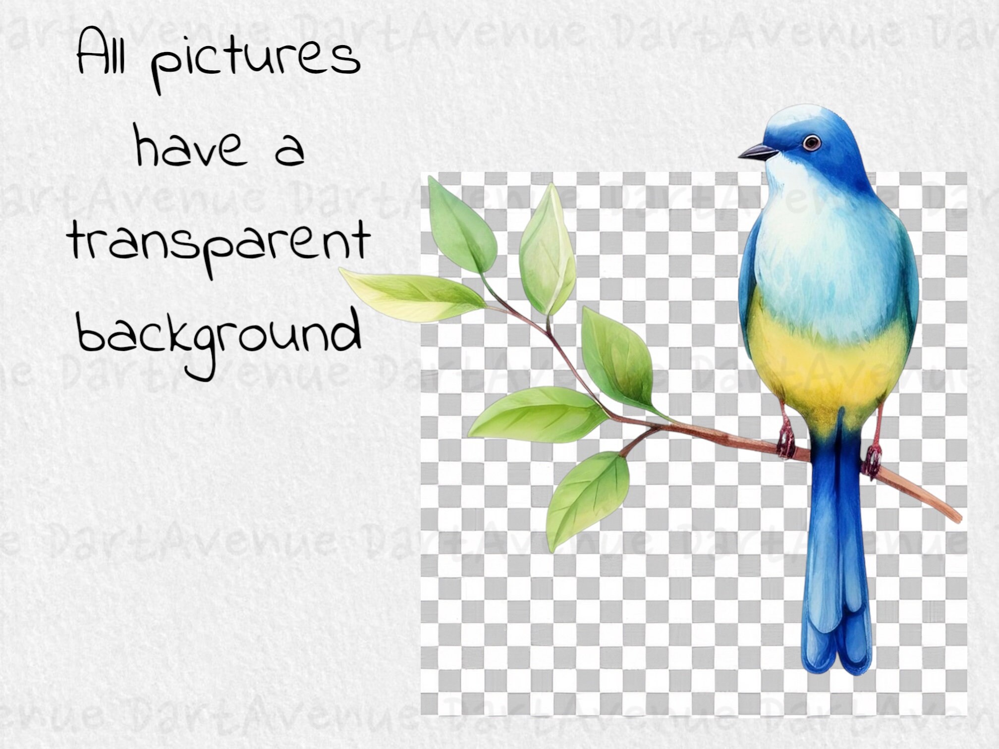 Watercolor Birds Clipart, Watercolor Art, Birds on Floral Branches ...