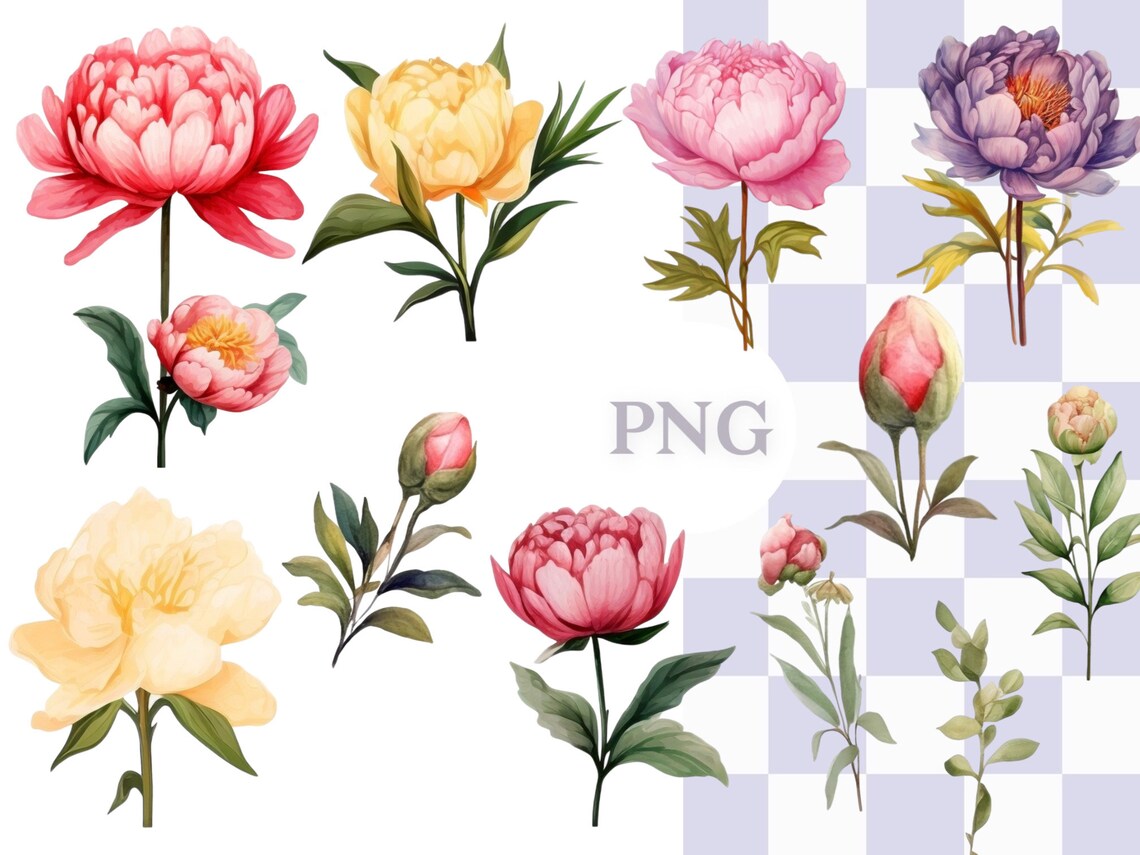 Watercolor Peonies Clipart, Romantic Wedding Floral Clipart, Spring ...