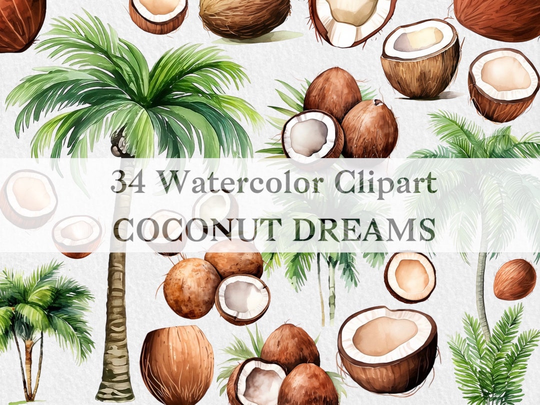 Coconut Watercolor Clipart Collection, Tropical Clipart, Palm Trees, 34 ...