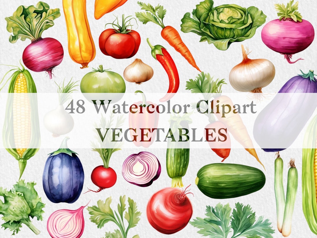 Vegetables Clipart, Veggie Watercolour Set, Healthy Food, Summer ...