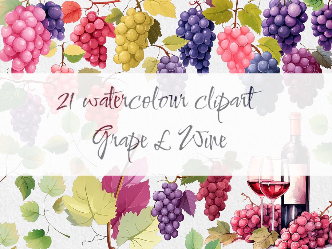Watercolor Grape Clipart, Digital PNG, Wine Graps, Floral Clipart, Art ...