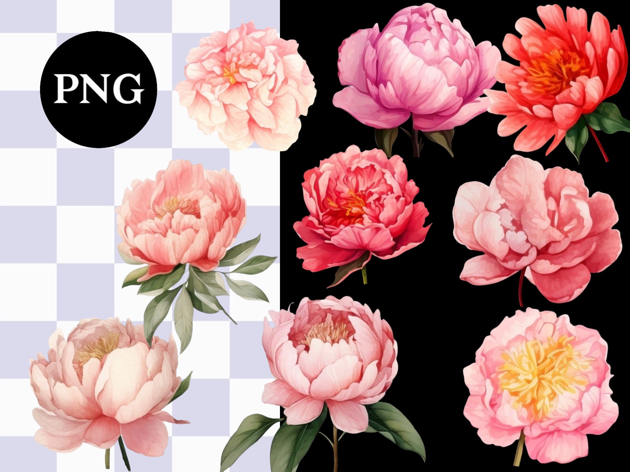 Watercolor Peonies Clipart, Romantic Wedding Floral Clipart, Spring ...