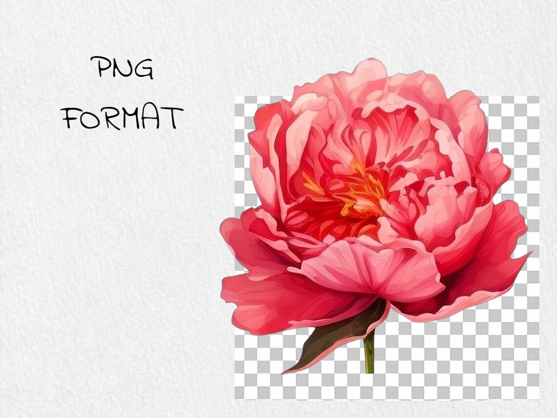 Watercolor Peonies Clipart, Romantic Wedding Floral Clipart, Spring ...