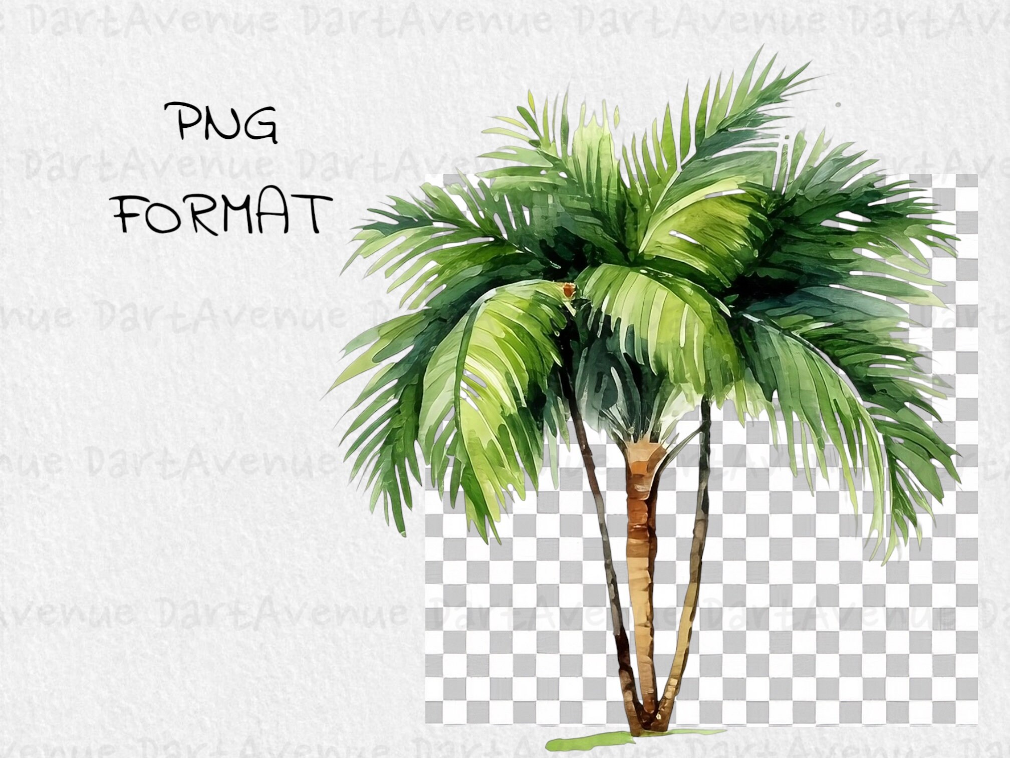 Coconut Watercolor Clipart Collection, Tropical Clipart, Palm Trees, 34 ...