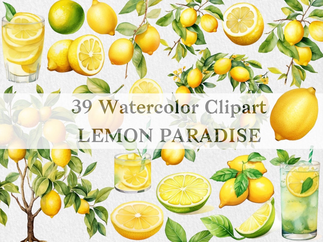 Lemon Watercolor Clipart, Fruit Watercolor Style, Digital PNG Lemonade ...