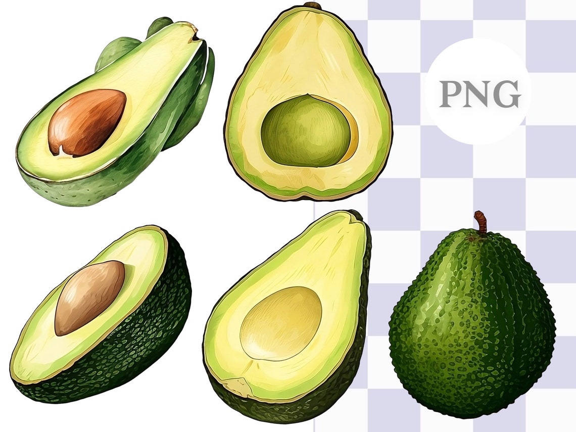 Fresh Food Clipart Healthy Food Vegetable Natural Food - Etsy