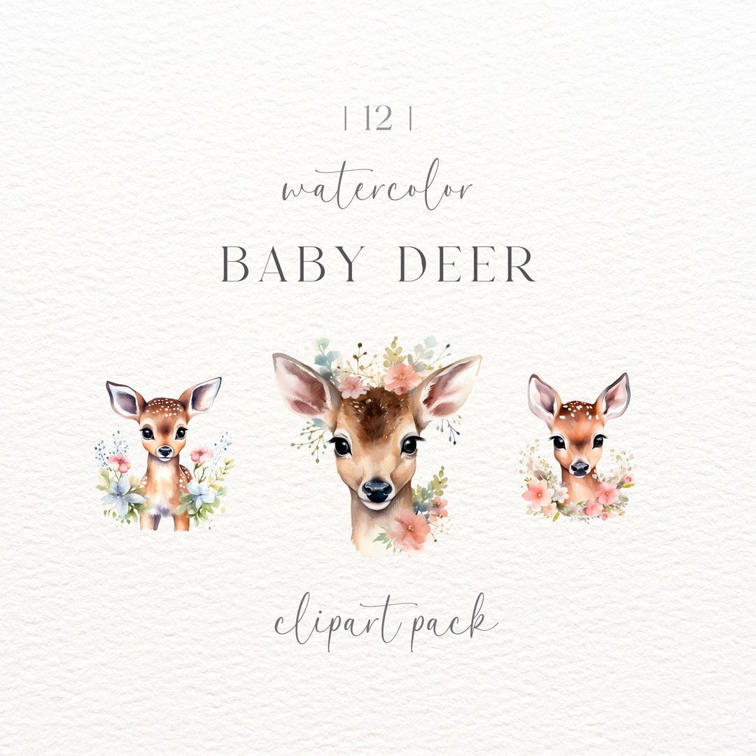 Baby Deer Clipart | Decor | Watercolor Little Animals | Nursery Art ...