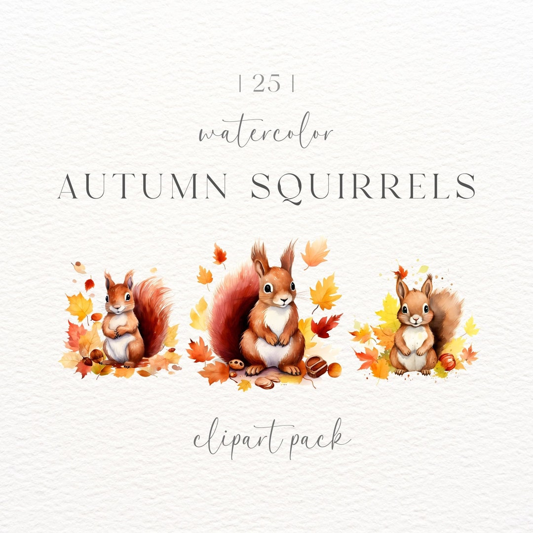 Watercolor Autumn Squirrel Clipart: Woodland PNG Bundle (digital ...