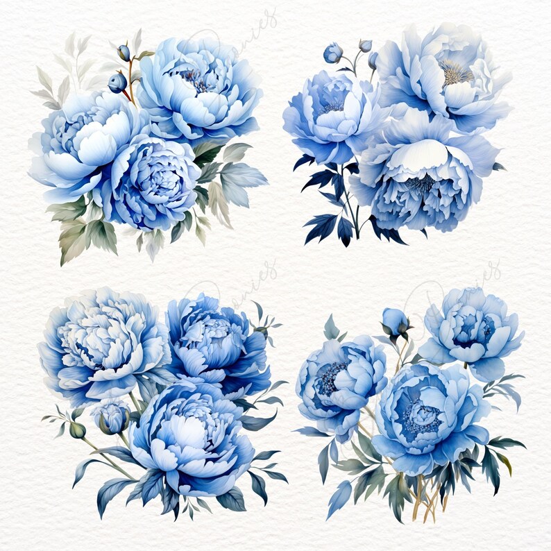 Watercolor Blue Peonies Clipart: Commercial Use Floral PNG (digital ...