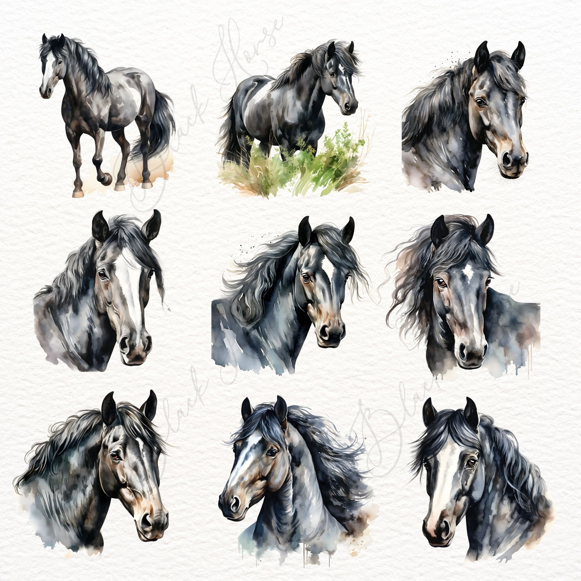 Watercolor Black Horse Clipart Bundle (digital Download) - Etsy