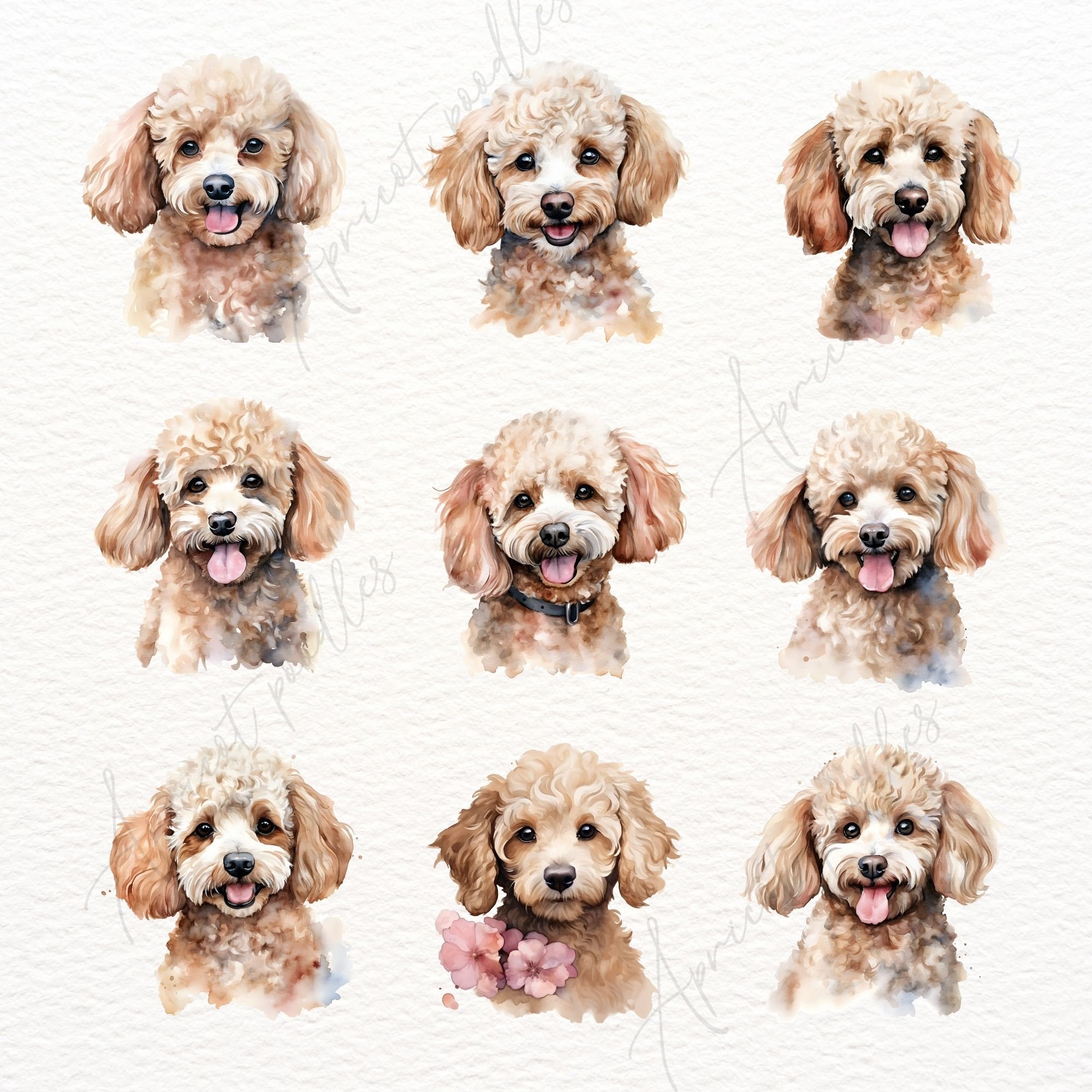 Poodle Clipart | Wall Art | Cute Dog Clipart | 300 Dpi | Commercial Use ...