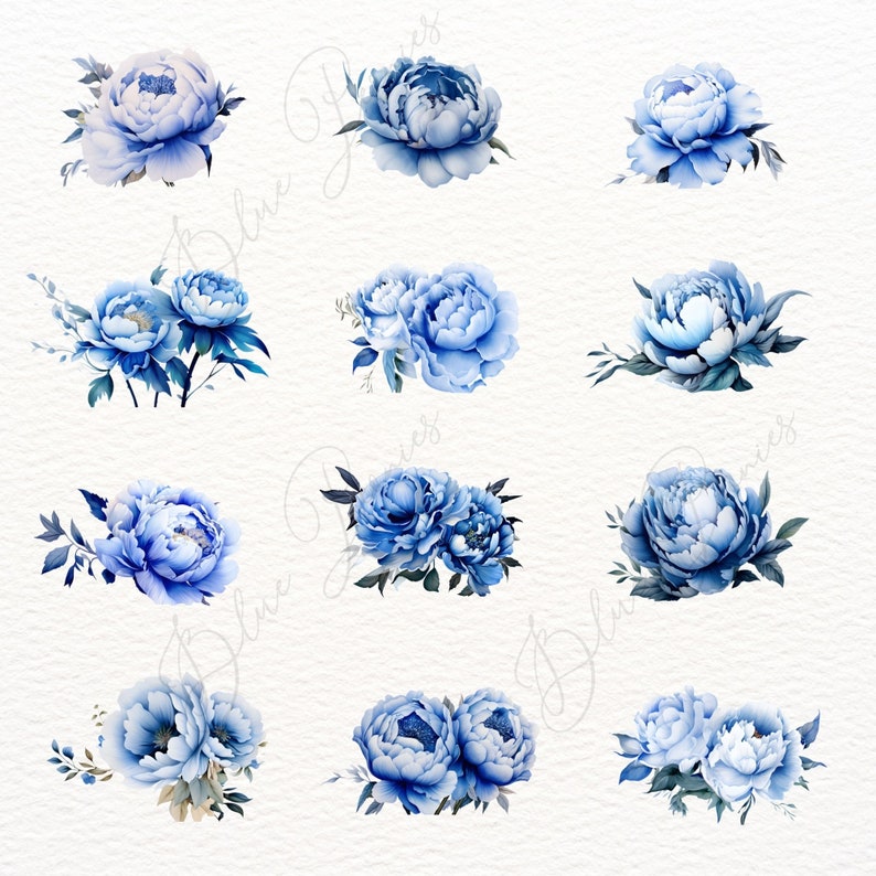 Watercolor Blue Peonies Clipart: Commercial Use Floral PNG (digital ...