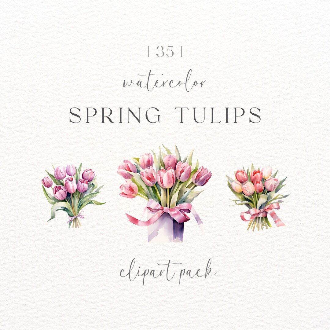 Tulip Clipart, Floral Watercolour Clipart, Spring Clipart, PNG for ...