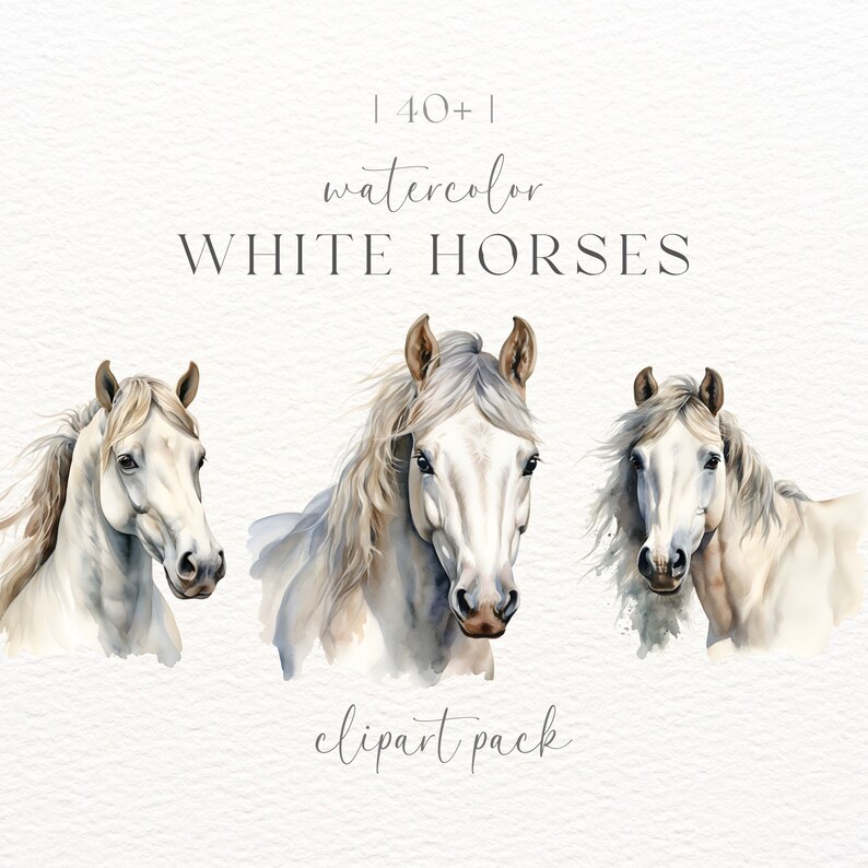 Horse Watercolor Clipart | Digital Download | Nursery Art | Commercial ...